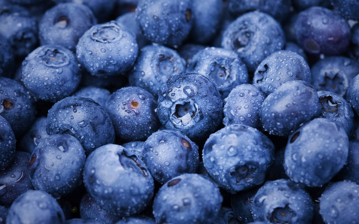 Frutas Infantes te ofrece: arandanos de calidad