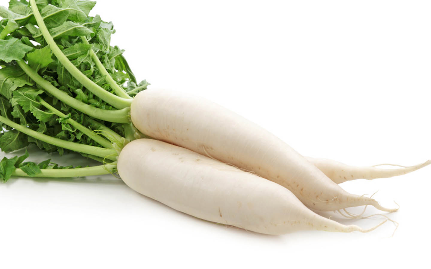 Frutas Infantes te ofrece: nabo de calidad